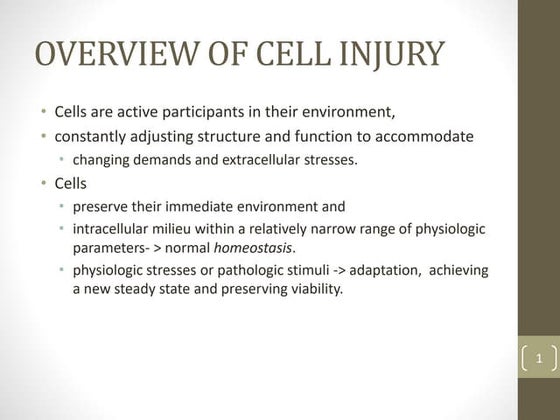 Reversible cell injury I Pathology | PPTX | Lung and Respiratory Health ...