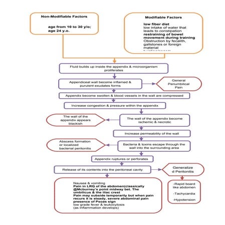 Pathodiagram | PDF