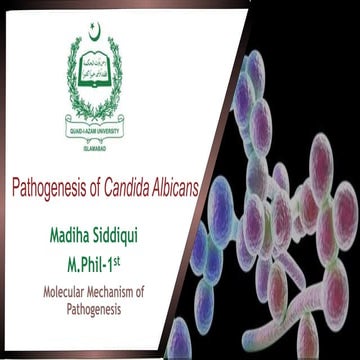 Pathogenesis of candida | PPTX