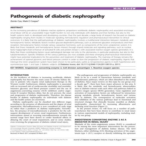 Pathogenesis of diabetic nephropathy | PDF