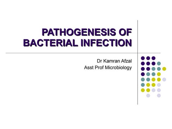 Infection | PPTX | Infectious Diseases | Diseases and Conditions