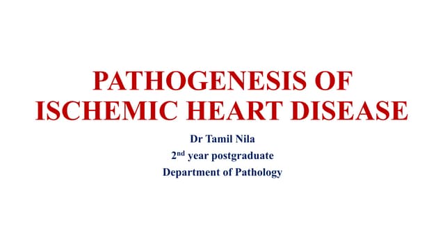 Pathogenesis Of Ischemic Heart Disease Ihd Ppt
