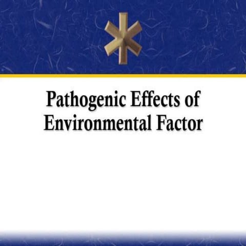 Pathogenic effect of environmental factors.ppt | First Aid | Injuries