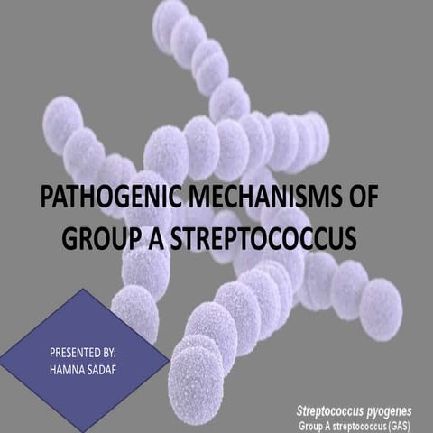 Pathogenic mechanishm of group a streptococcus | PPTX