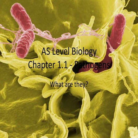 AS Level Biology - Pathogens | PPTX