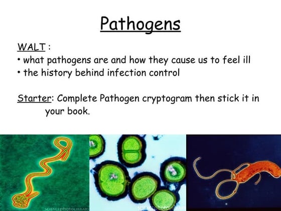 Microbes and diseases | PPTX | Infectious Diseases | Diseases and ...