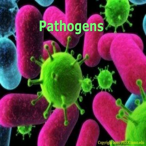 Pathogens.ppt