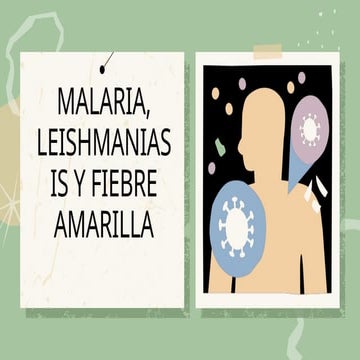 Comprehensive Overview of Malaria, Leishmaniasis, and Yellow Fever ...