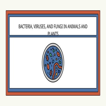Pathogens in Animals and Plants Lesson Presentation in Blue and Red ...