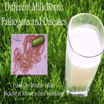 Pathogens in milk | PPTX
