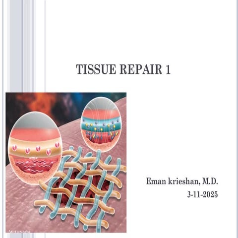 Tissue repair, regeneration and wound healing (1) | PPT