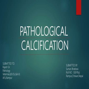 Pathological Calcification | PPTX