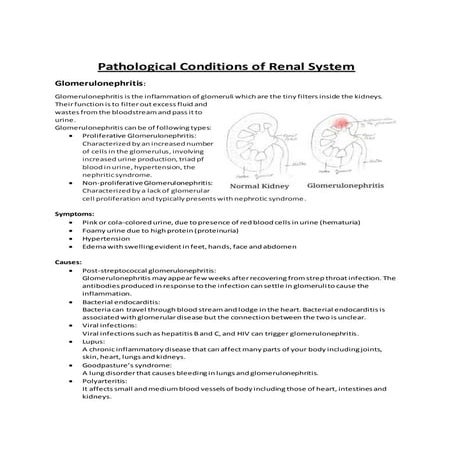Pathological Conditions of Renal and Digestive System.docx
