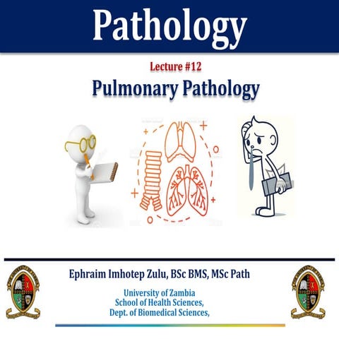 PATHOLOGY - 12 - Pulmonary Diseases 2.pdf