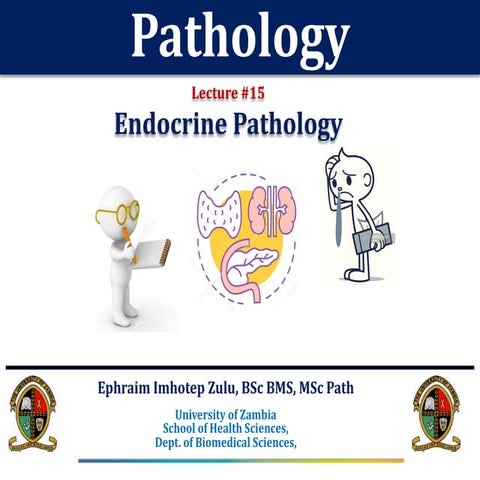 PATHOLOGY - 15 - Endocrine Pathology.pdf | Thyroid Disorders | Endocrine and Metabolic Diseases