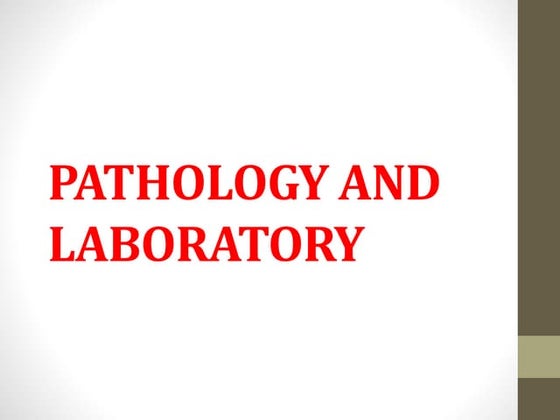 Diseases of the digestive system | PPTX | Digestive Disorders ...