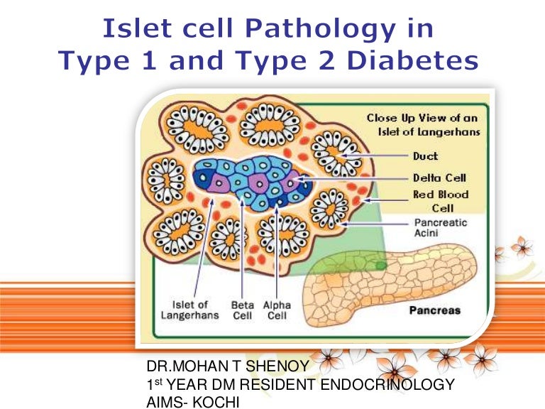 Islet cell Pathology