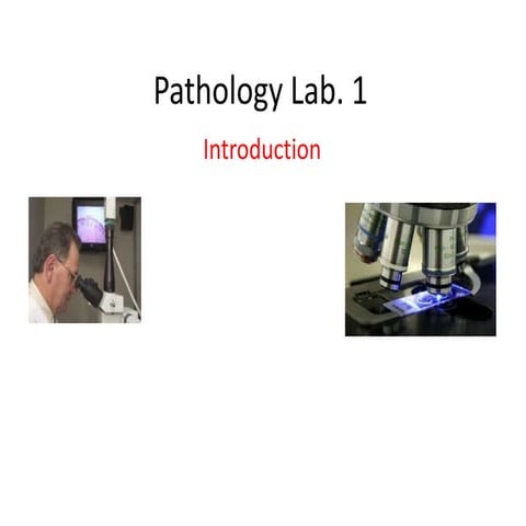 Pathology lab 1 | PPTX