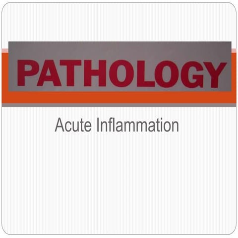 Pathology lab 3 acute inflammation | PPT