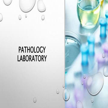 Pathology Laboratory | PPT