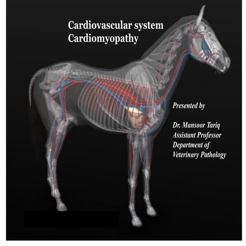 Pathology of cardiovascular system | PDF