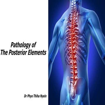 Pathology of posterior elements.pptx