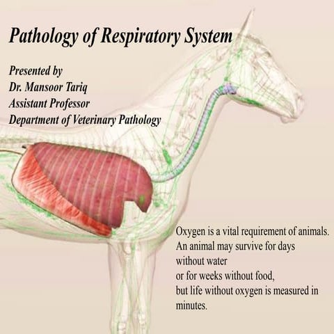 Pathology of respiratory system | PDF