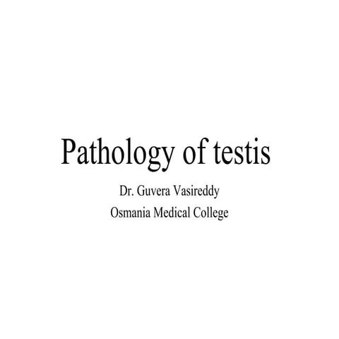 Pathology of testis | PPT
