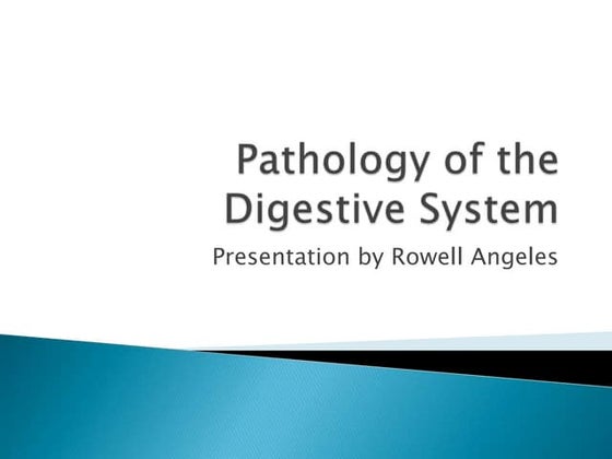 The Digestive System Powerpoint | PPT