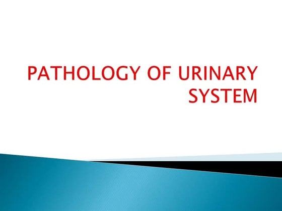 The Urinary System: 5 Abbreviations | PPTX | Medical Health