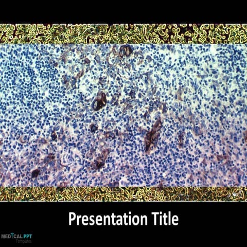 Pathology PPT Templates | PPTX