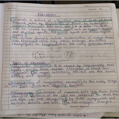 Patho Notes.pdf | Mental Health | Diseases and Conditions