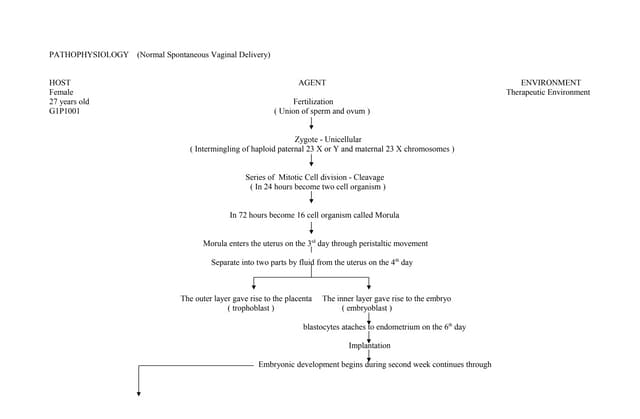 For delivery fdar charting | PDF