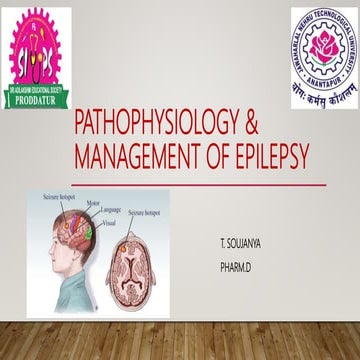 Pathophysiology and management of epilepsy | PPTX