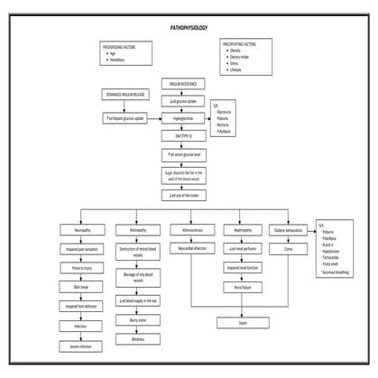Pathophysiology of DM (Type 2) | DOC
