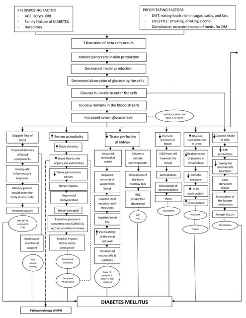 Pathophysiology of DM (Type 2) | PPT