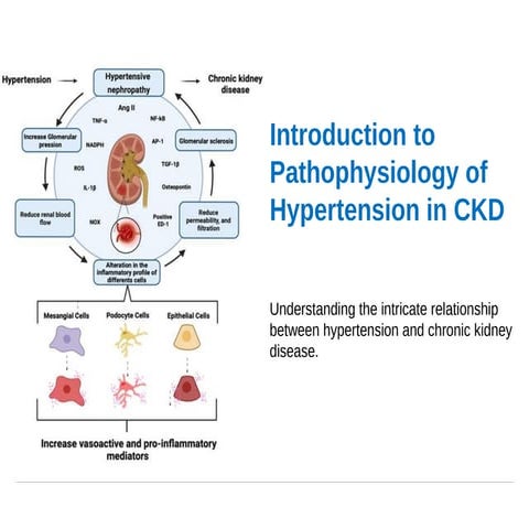 Pathophysiology of Hypertension in CKD.pptx