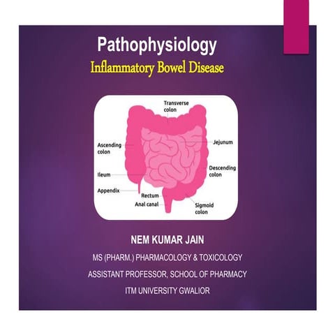 Pathophysiology of Inflammatory Bowel Disease (IBD) | PPTX