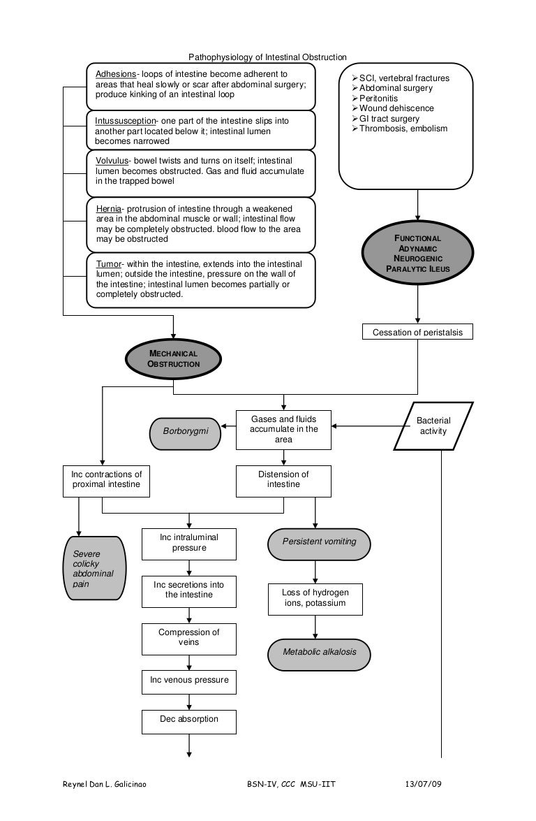 Pathophysiology of intestinal obstruction