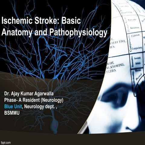 Basic Anatomy & Pathophysiology of ischemic stroke | PPT