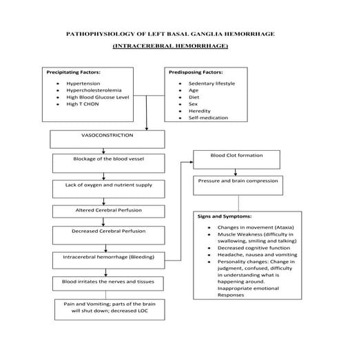 Pathophysiology of left basal ganglia hemorrhage | DOCX