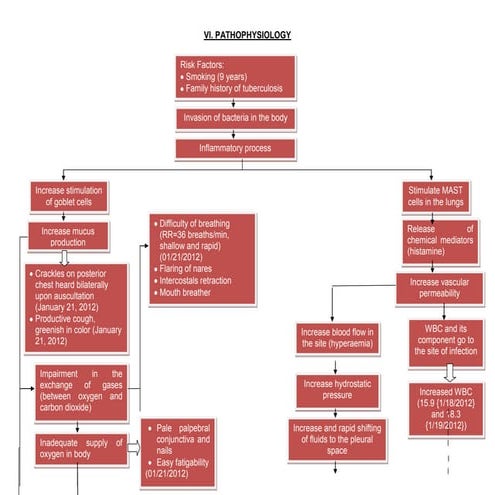 Pathophysiology of pleural effusion | DOCX