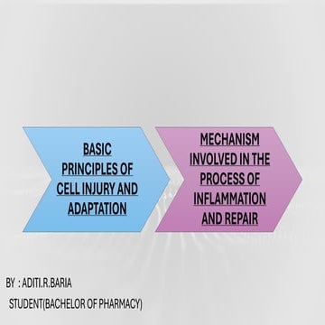 Pathophysiology Cell Injury Unit 1 (BPH) | PDF