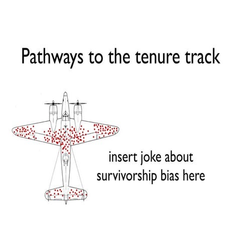 Path to tenure track | PDF