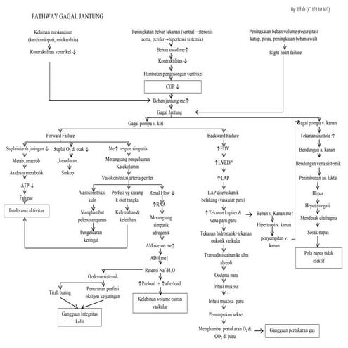 PATHWAY-GAGAL-JANTUNG-pdf.pdf
