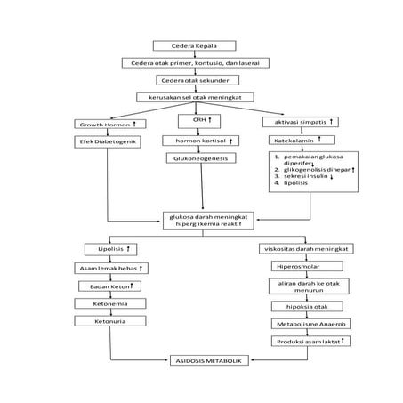 Pathway asidosis mantap | DOCX