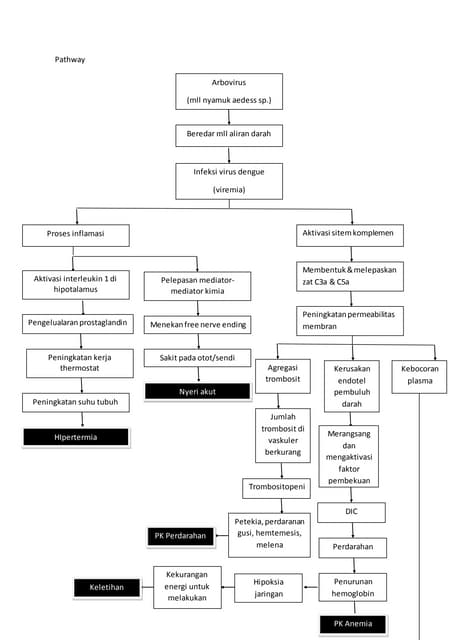 Pengkajian b1 b6 | PDF
