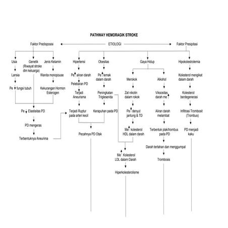 Parofisiologi/pathway penyakit Hemoragic Stroke | PDF