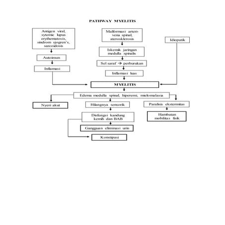 PATHWAY MYELITIS | DOCX