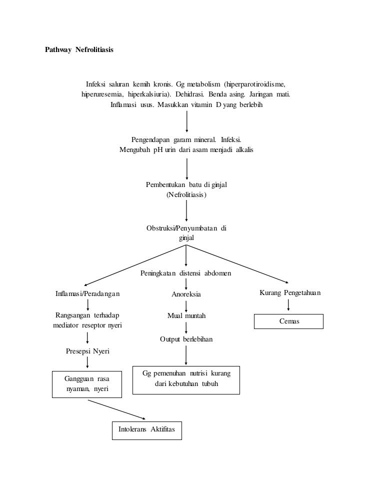 Pathway nefrolitiasis